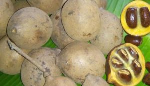 7 Buah Khas Indonesia yang Justru Jarang Diketahui Warganya, Kamu juga ...