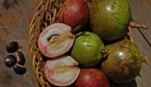 Kenitu, Buah Khas Indonesia yang Enak dan Kaya Manfaat tapi Kini Sulit ...