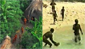 3 Cara Bertahan Hidup Suku Sentinel yang Terkenal Mengisolasi Diri dari ...