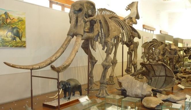 4 Hewan Purba yang Ditemukan di Indonesia, Ada yang Masih Hidup Sampai ...