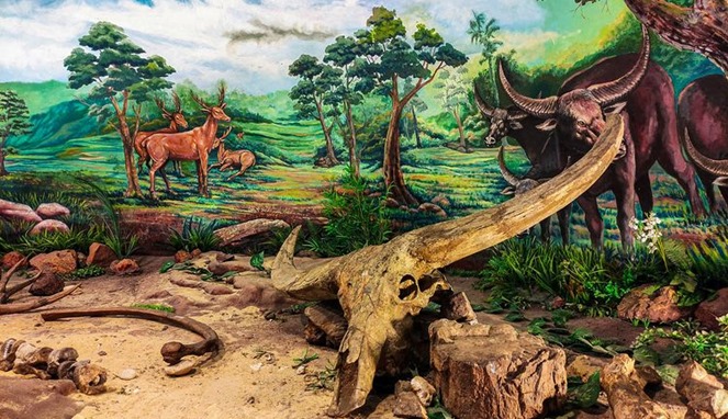 4 Hewan Purba yang Ditemukan di Indonesia, Ada yang Masih Hidup Sampai Sekarang - Boombastis