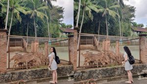 Kenalan dengan Amanda Zahra, Viral karena Foto Selfie Dinilai Terlalu Seksi Dikritik Netizen ...